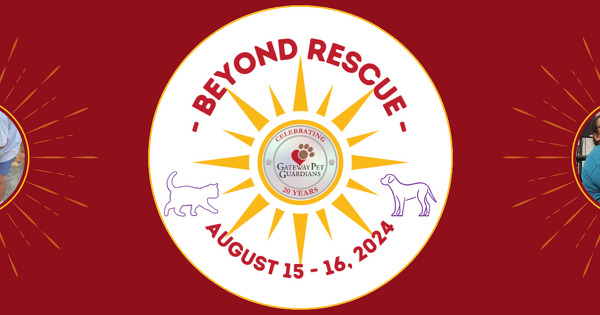 Going above and BEYOND RESCUE